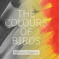 Reviews – REBECCA HIGGINS